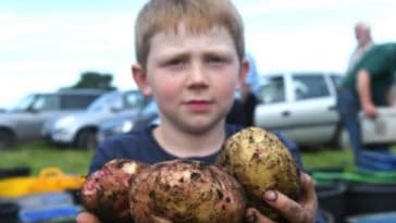 It's 'Big Spud' competition time | iomtoday.co.im