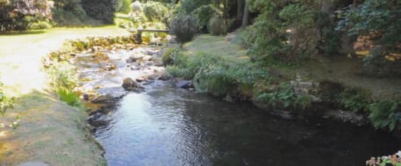 Summer fete at Cornaa Mill | iomtoday.co.im