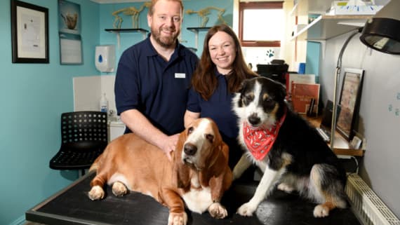 New start for vet whose first patients were teddy bears | iomtoday.co.im