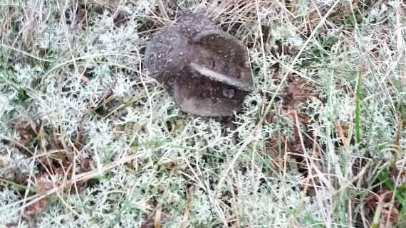 Tail fin of mortar shell found | iomtoday.co.im