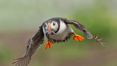 Cloudy with patchy rain possible | iomtoday.co.im