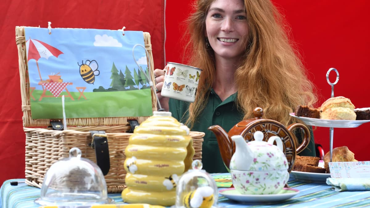 Why not get together for a community 'bee' picnic? | iomtoday.co.im