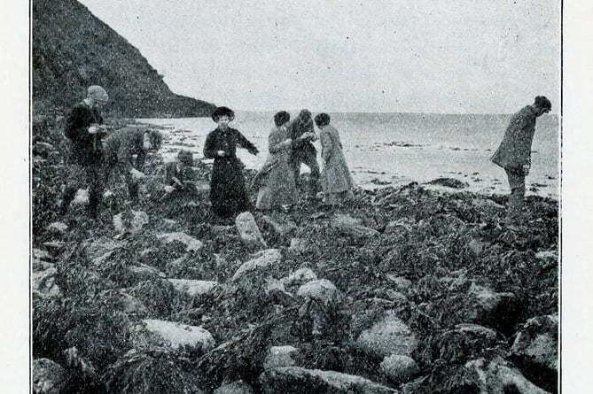 Come and learn more about the Winkle Pickers | iomtoday.co.im