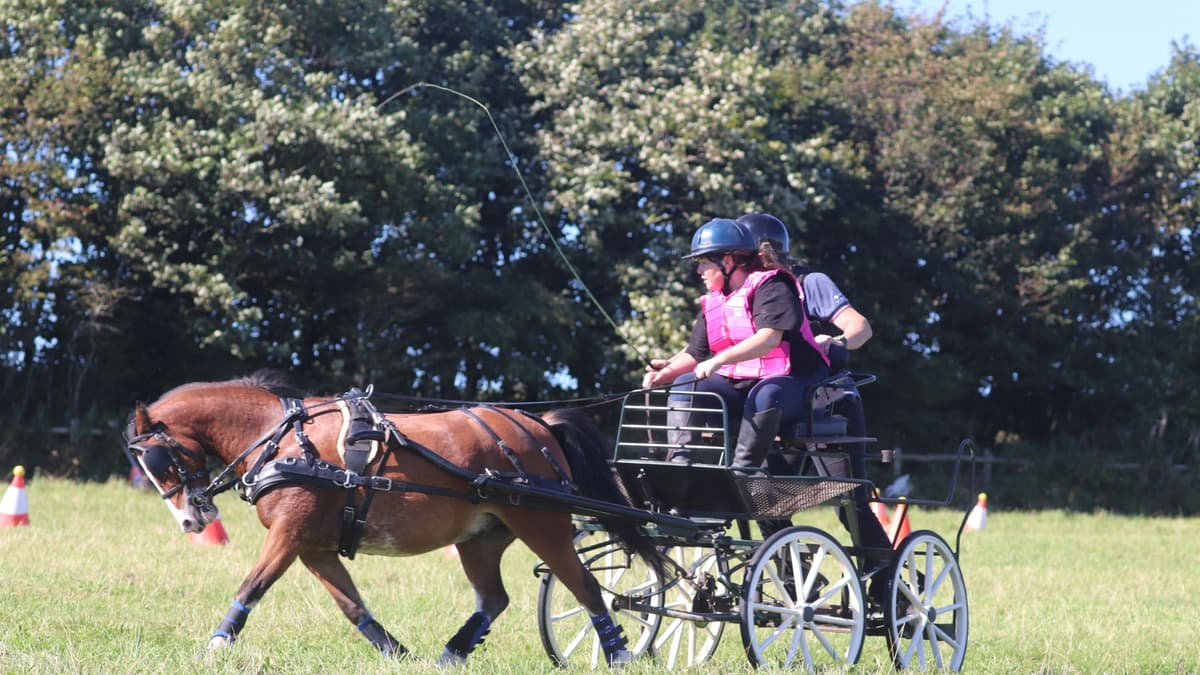 Manx Harness Club host carriage driving challenge | iomtoday.co.im