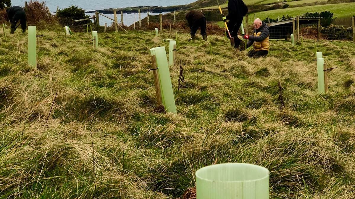 Isle of Man Woodland Trust inviting the public to have a go at tree ...