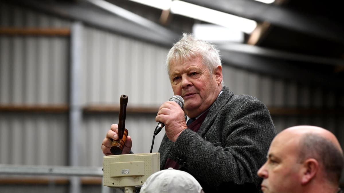 Andy Kelly tops the market at the Mart | iomtoday.co.im