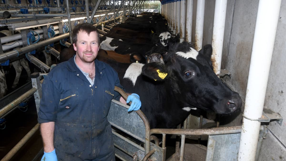 Farming: Dung beetles help David to Chough Award win | iomtoday.co.im