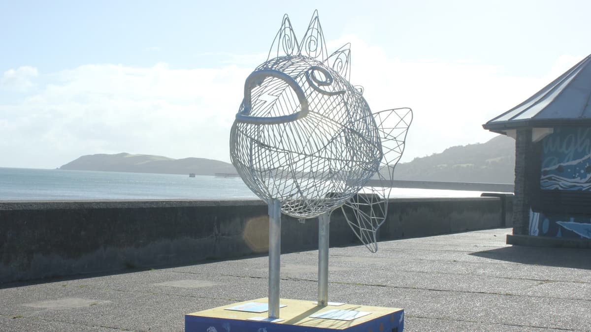 Fill a Fish marine sculptures to encourage recycling placed around Isle ...