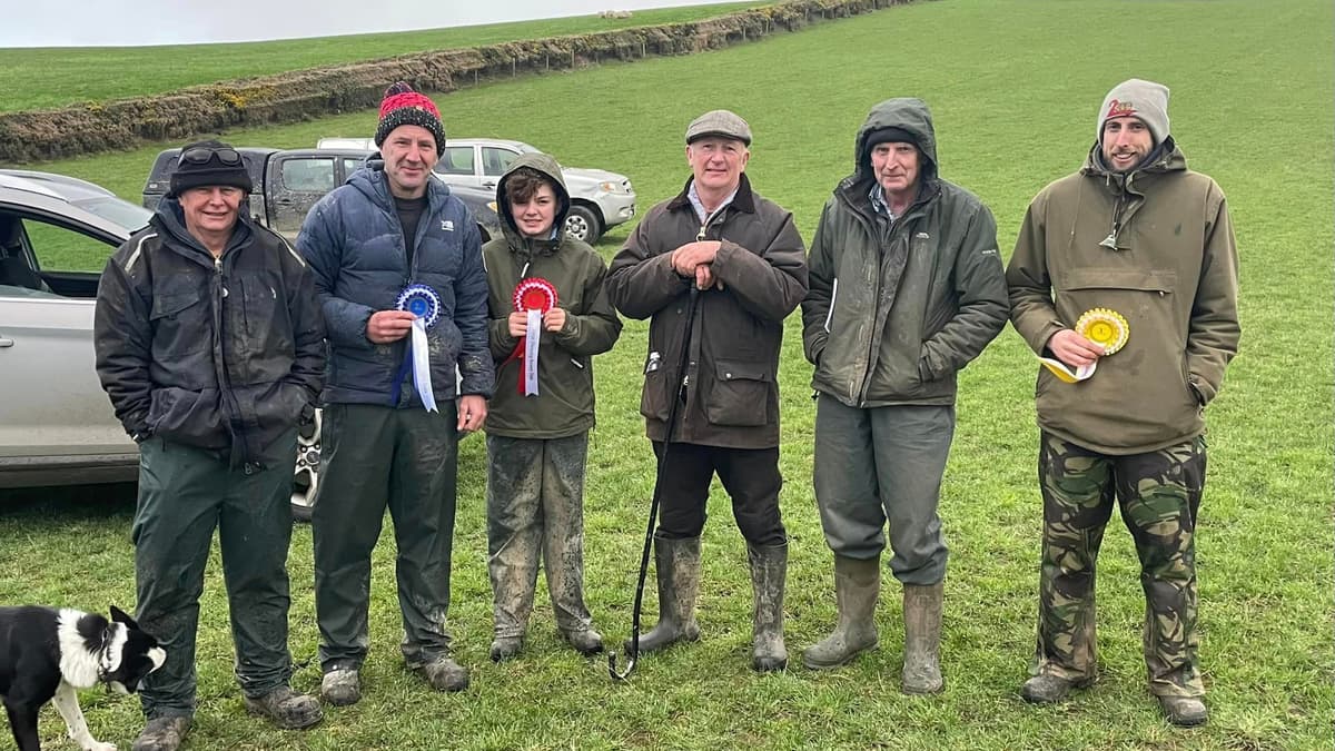 Freddie and Kate win sheepdog trial | iomtoday.co.im