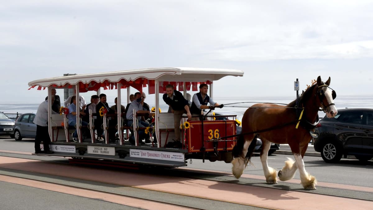 Questions around the horse trams in the Isle of Man | iomtoday.co.im