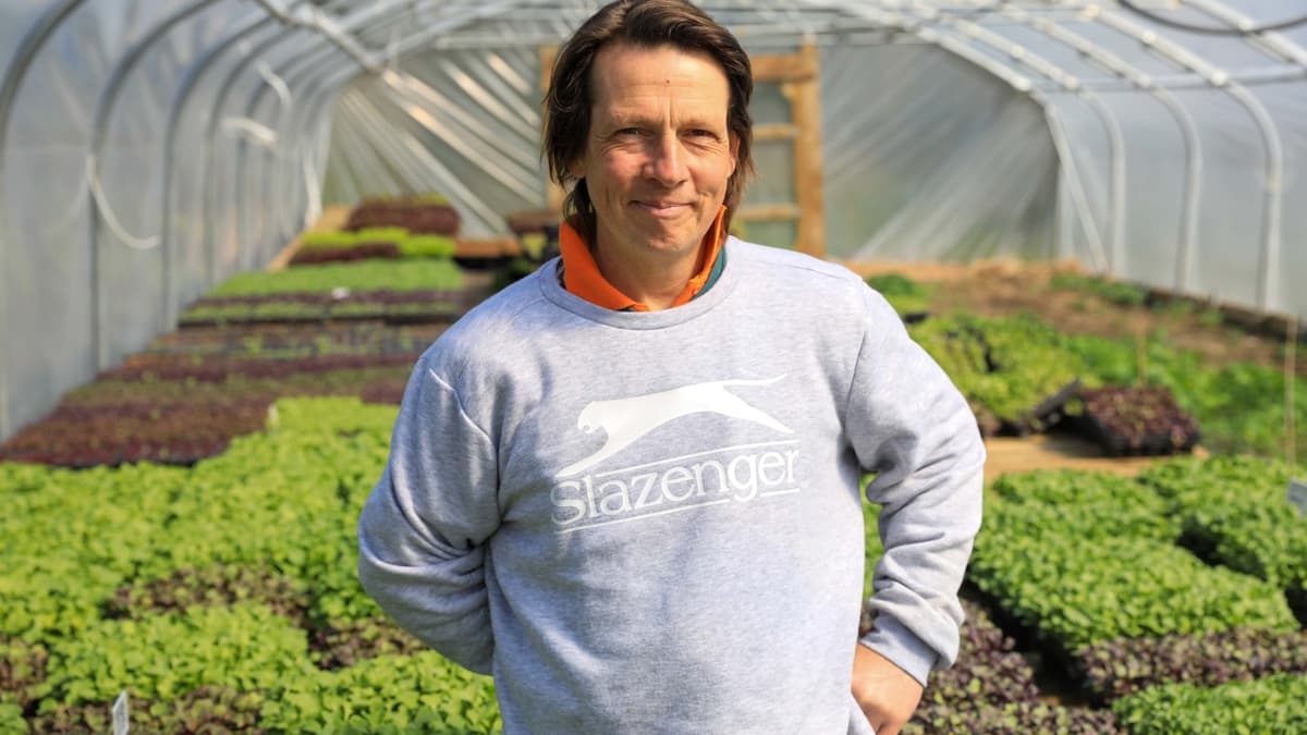 Fresh, Organic and local - how Staarvey Farm grow salads | iomtoday.co.im