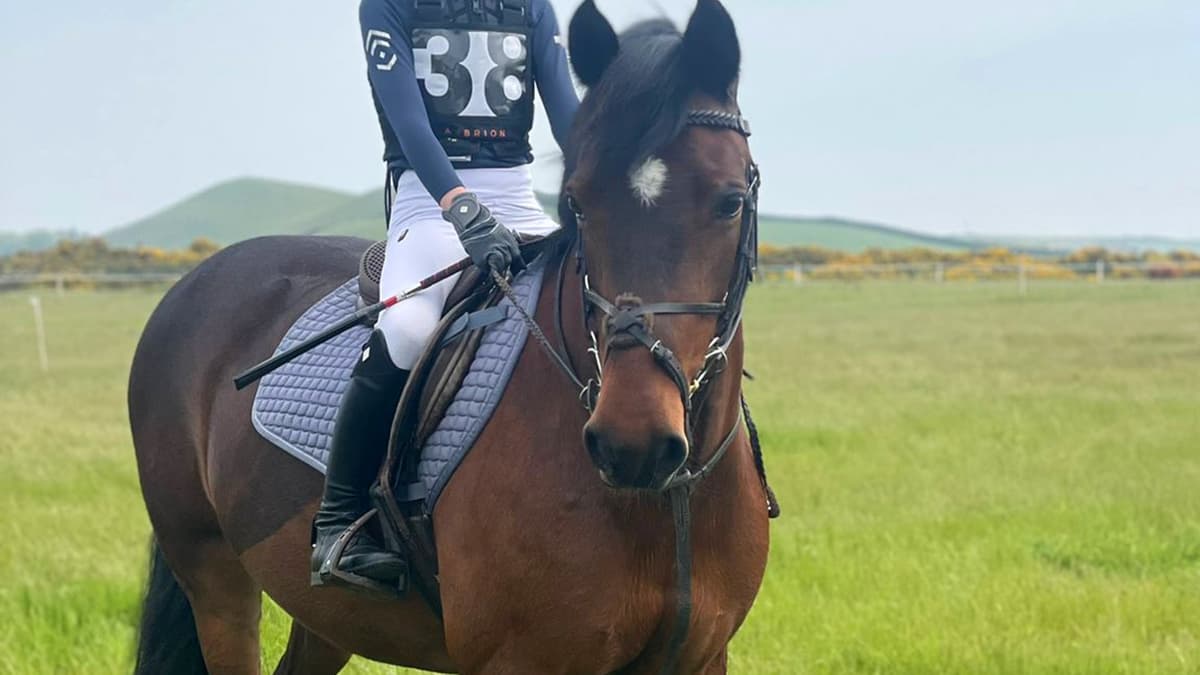 Younger members perform well in Ballacorey hunter trial | iomtoday.co.im