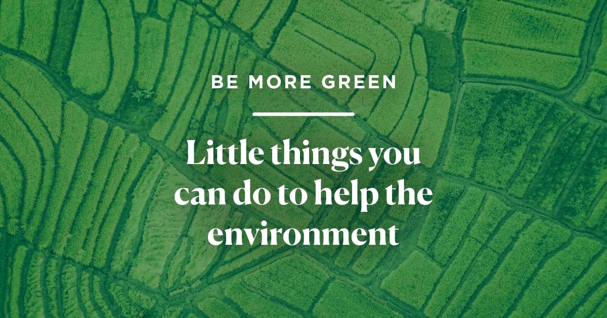 Be more green: Little things you can do to help the environment ...