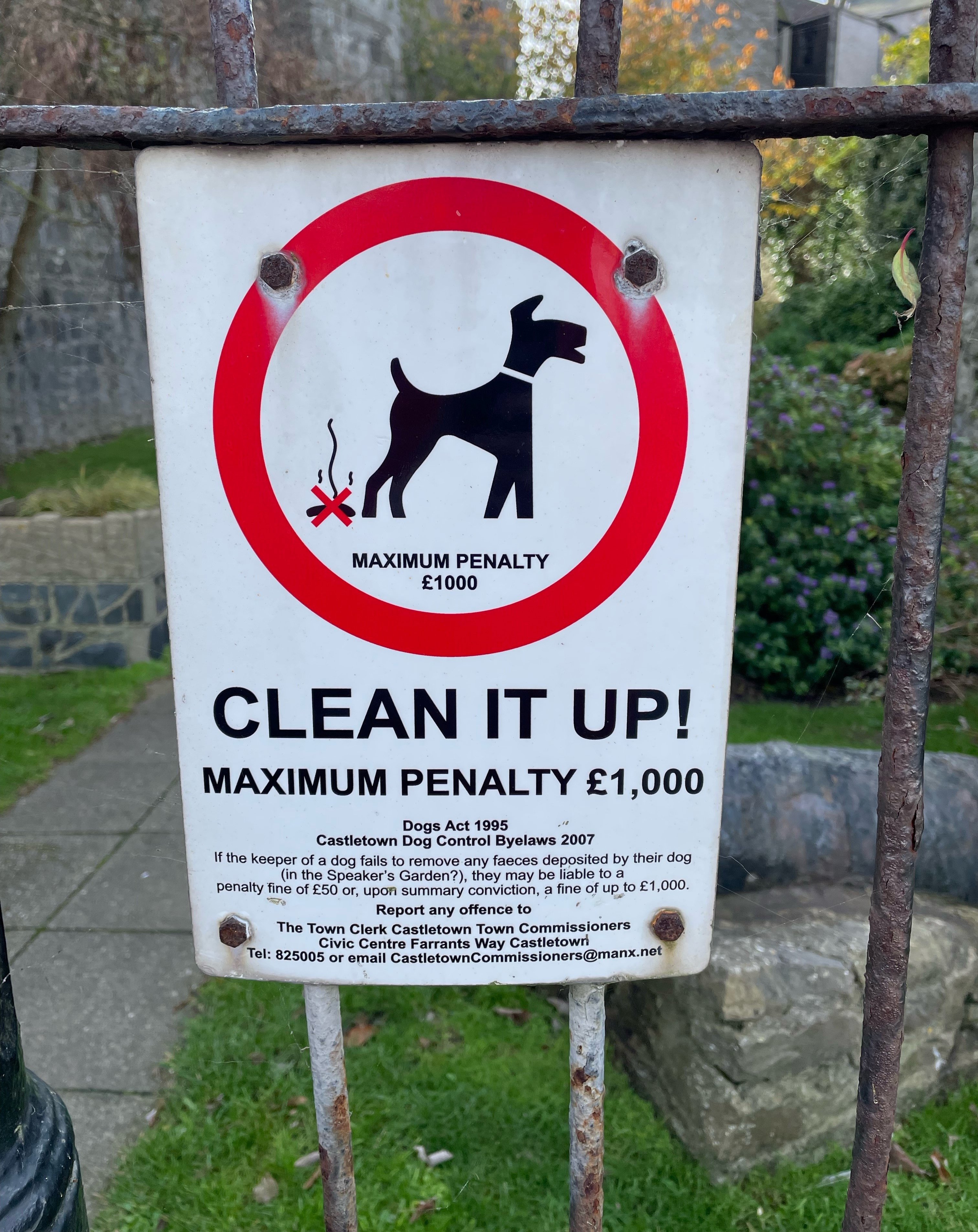 Dog walkers seeing more dog poo in Castletown streets | iomtoday.co.im