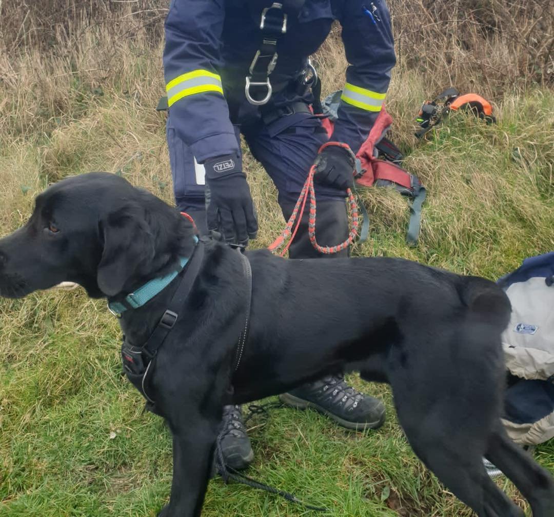 Isle of Man Coastguards heroically rescue Byron the dog from dangerous ...