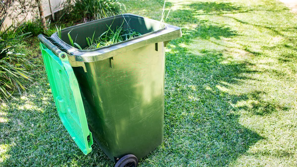 Douglas Council hail 'success' of green waste collection scheme ...