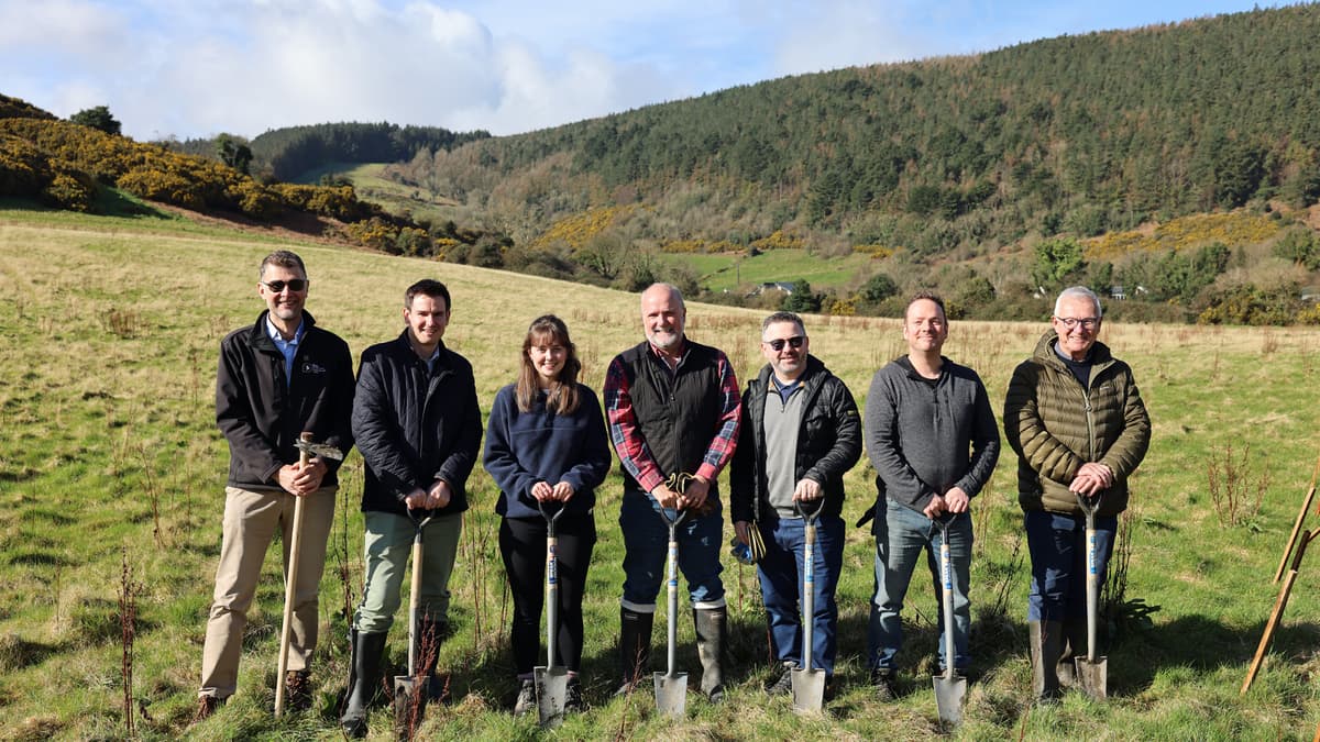 Isle of Man field to be turned into woodland haven in project 'two ...