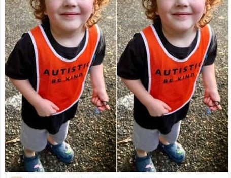 Warning issued over online scams after fake missing child post ...