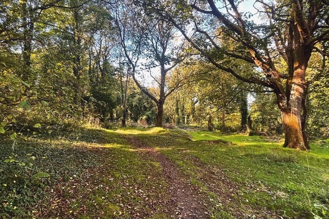 The two-mile walk with a mystical waterfall, an ancient chapel and a ...