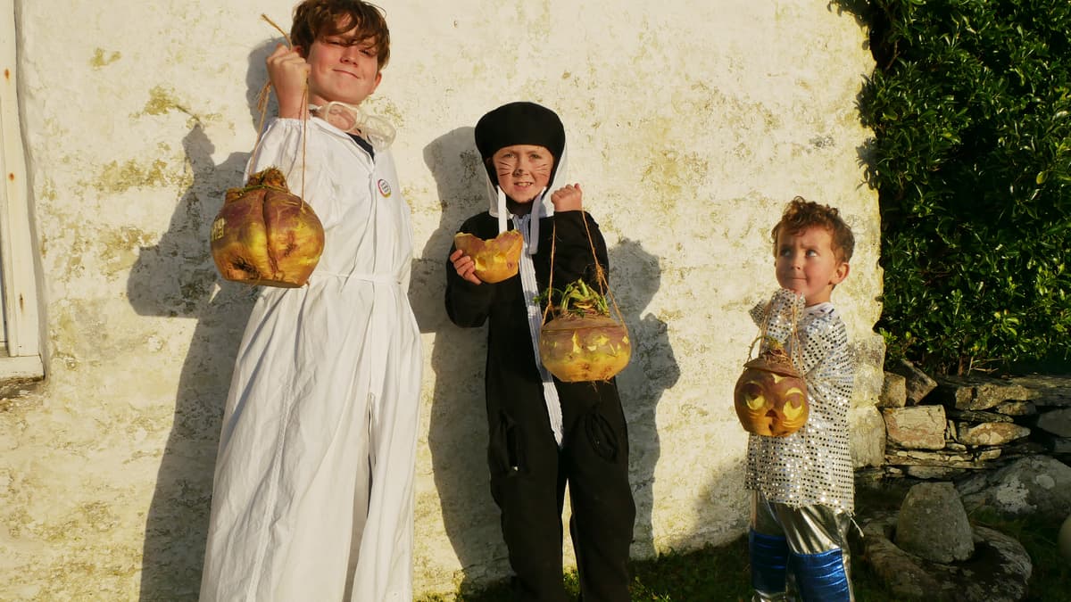 Culture Vannin look to measure popularity of Manx traditions during Hop ...