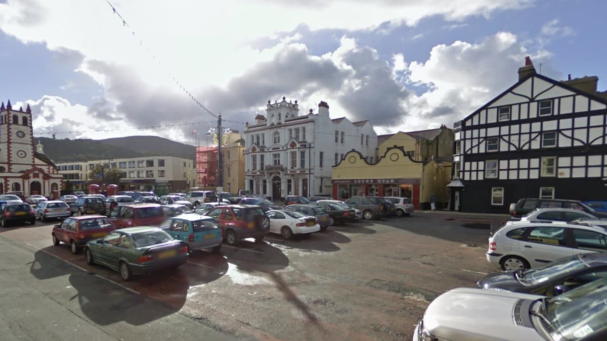 Woman ordered to keep rescue dog under control after 'Mr Blobby' bit ...