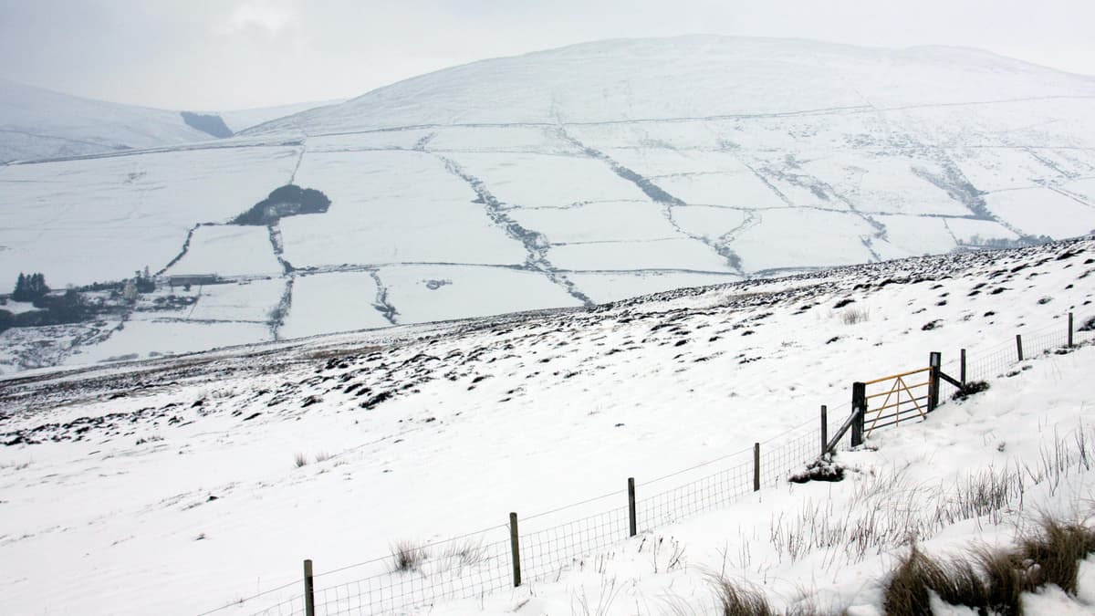 Dull winter proves warmer than 30-year average with little snowfall ...
