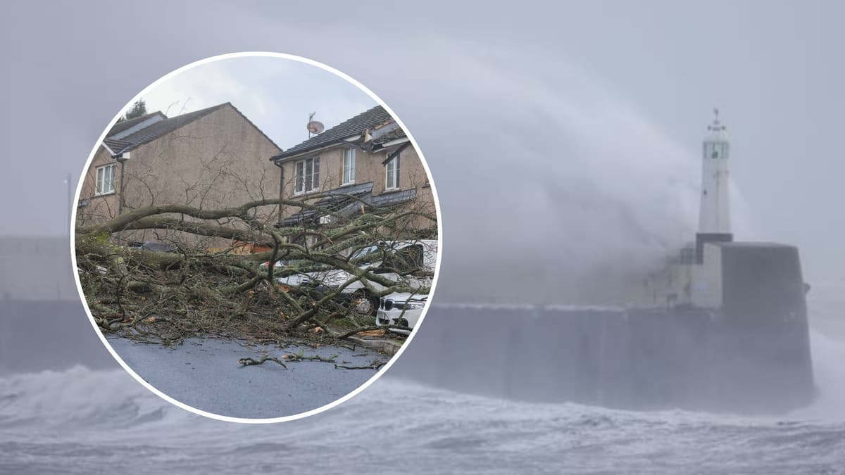 Pictures as Storm Darragh leaves a trail of destruction in its wake ...