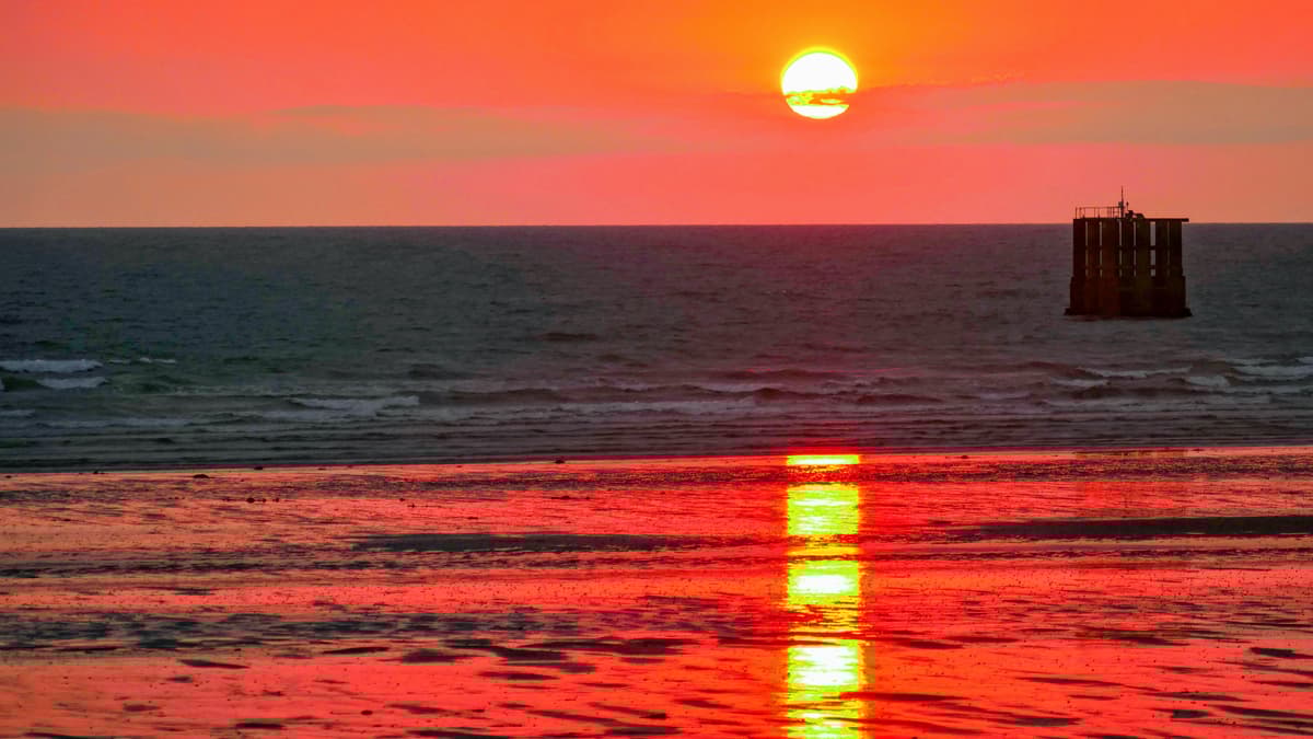 A deep dive into the habitat of Ramsey Bay | iomtoday.co.im