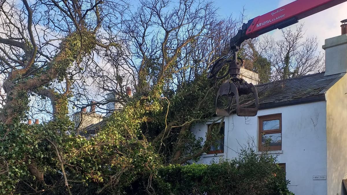 Damage reports still coming in after Storm Eowyn as some works 'put on ...