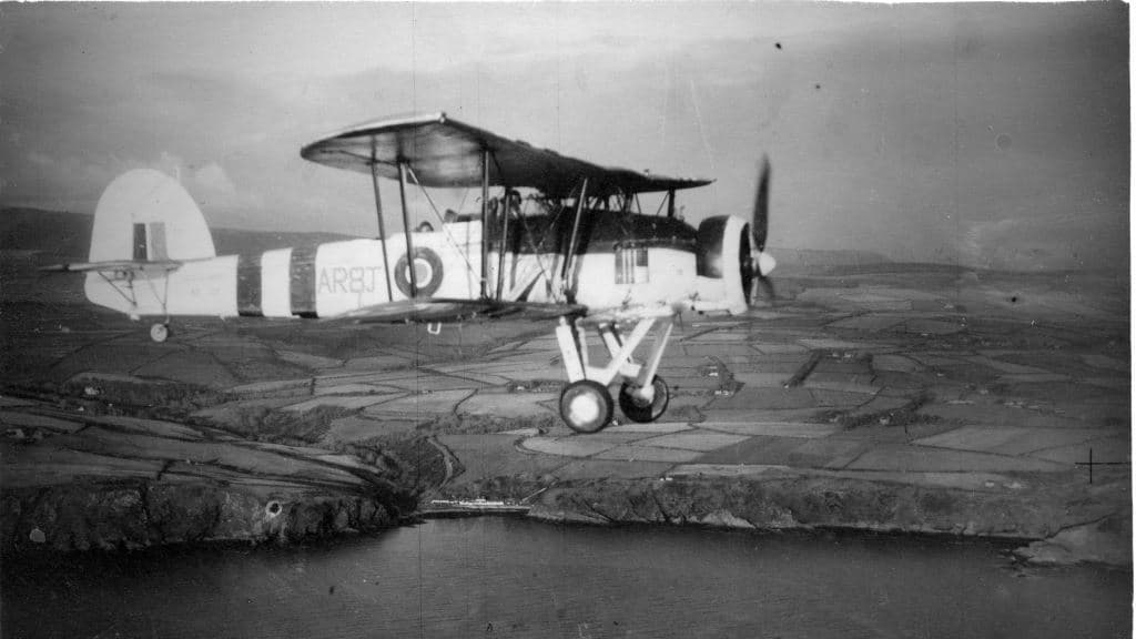 Wren's joy after pilot survives after plane crashes into the sea ...