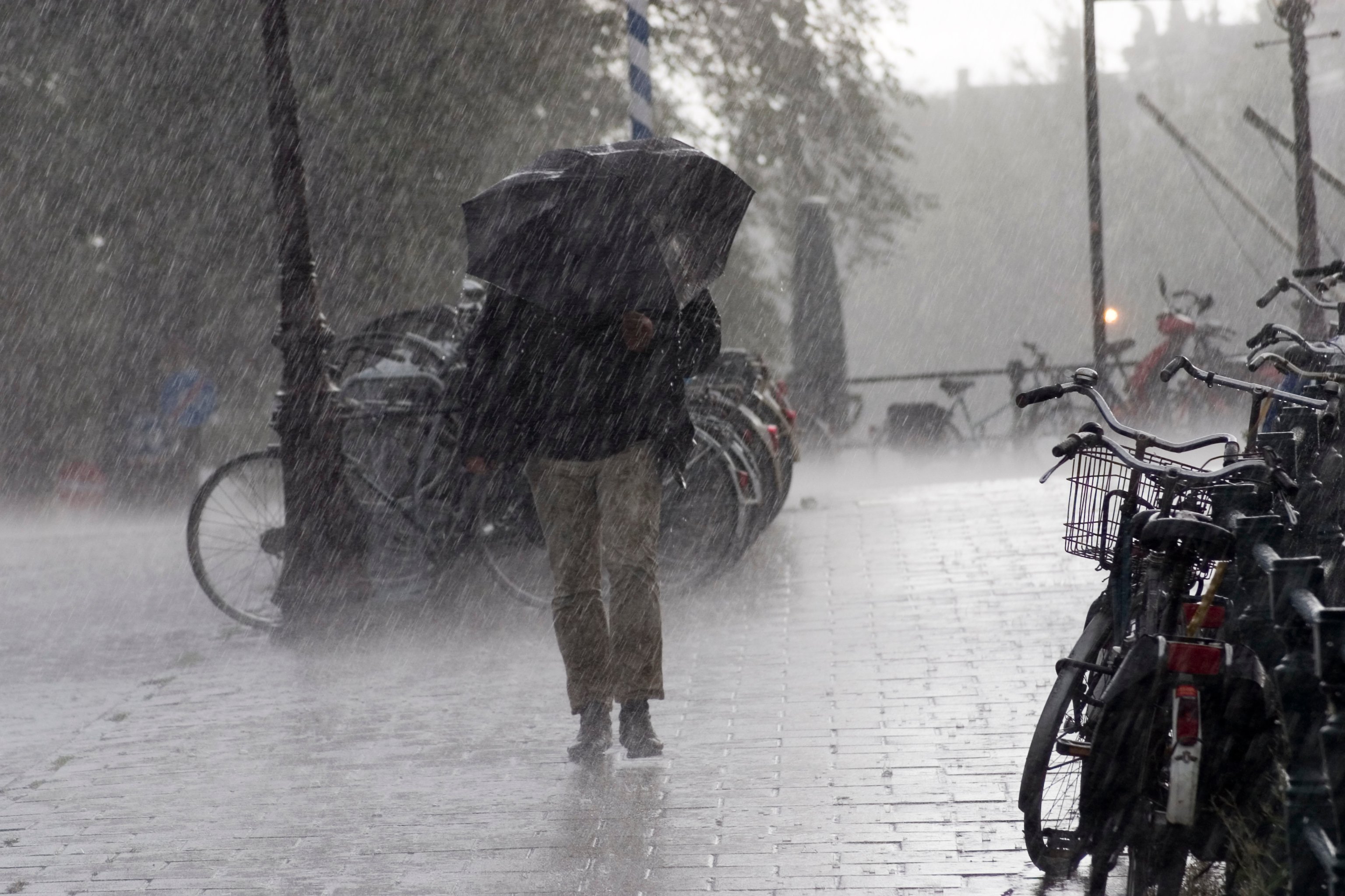 Douglas weather forecast: Heavy rainfall, wind and persistent showers ...