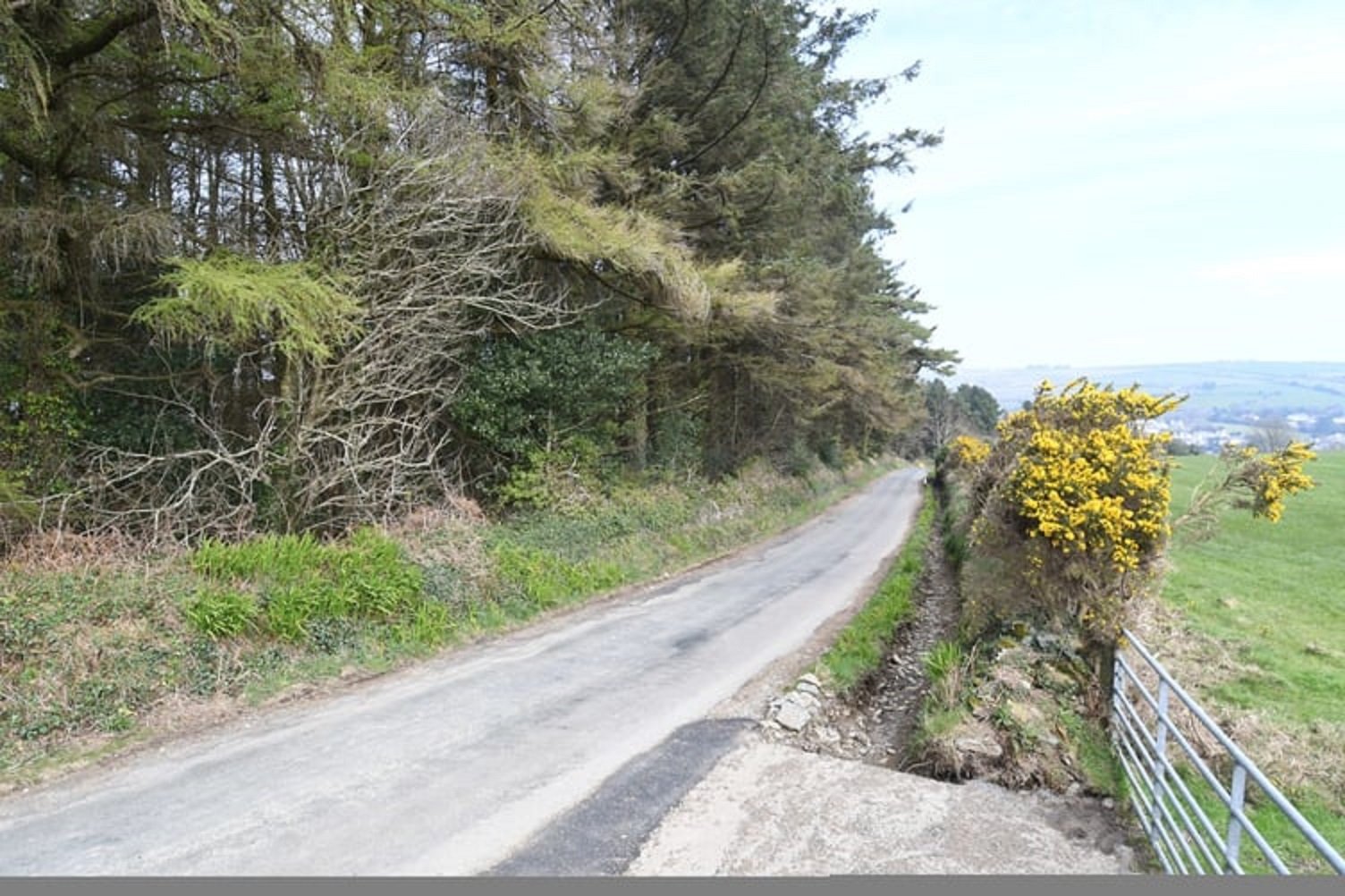 Isle of Man Today - local news at the heart of the community