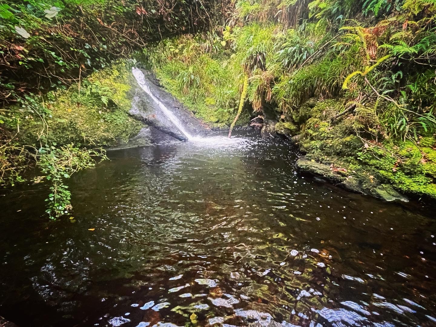 The 'haunted' pools that are home to some of the island's most ...