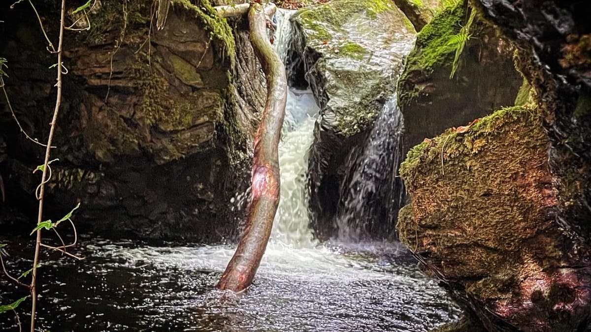 The 'haunted' pools that are home to some of the island's most ...
