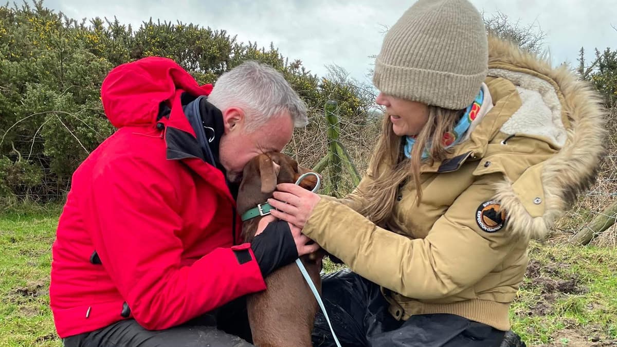 Search ends happily as missing dachshund Toffee is located | iomtoday.co.im