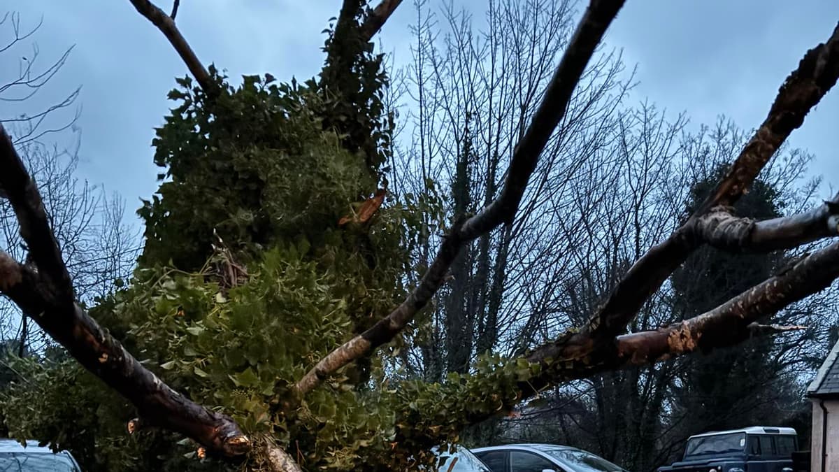 Updates as roads shut and flights cancelled as Storm Chandra batters ...